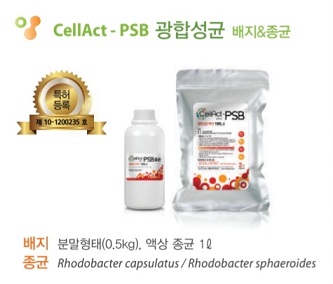 CellAct System (배양기 + 배양키트) - 제품 및 서비스 - 에코비즈넷
